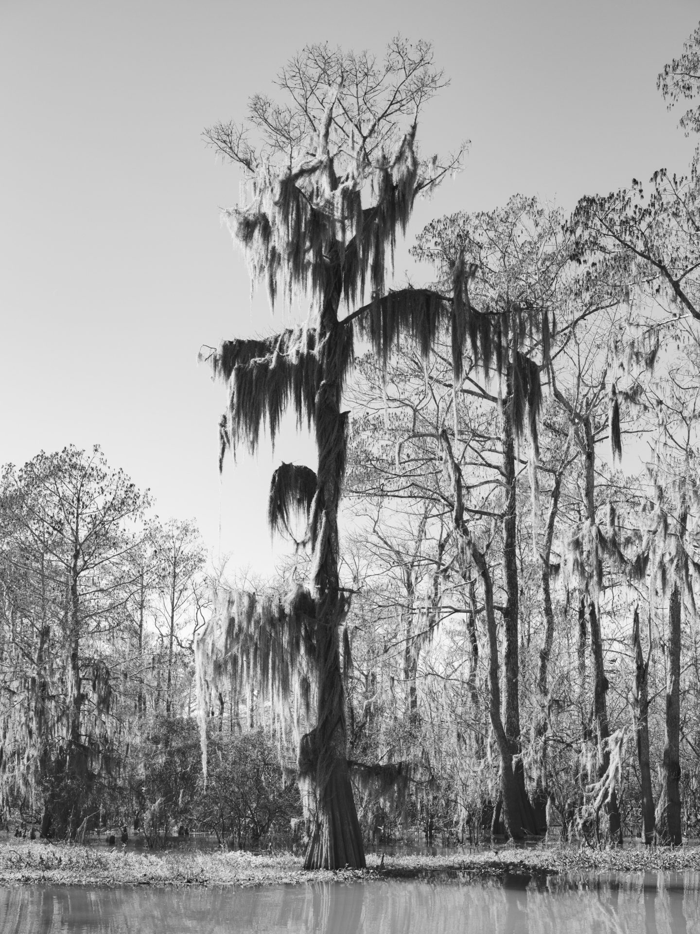 Conversation with Artist Nicholas Floc’h and Curator Brian Piper - New ...